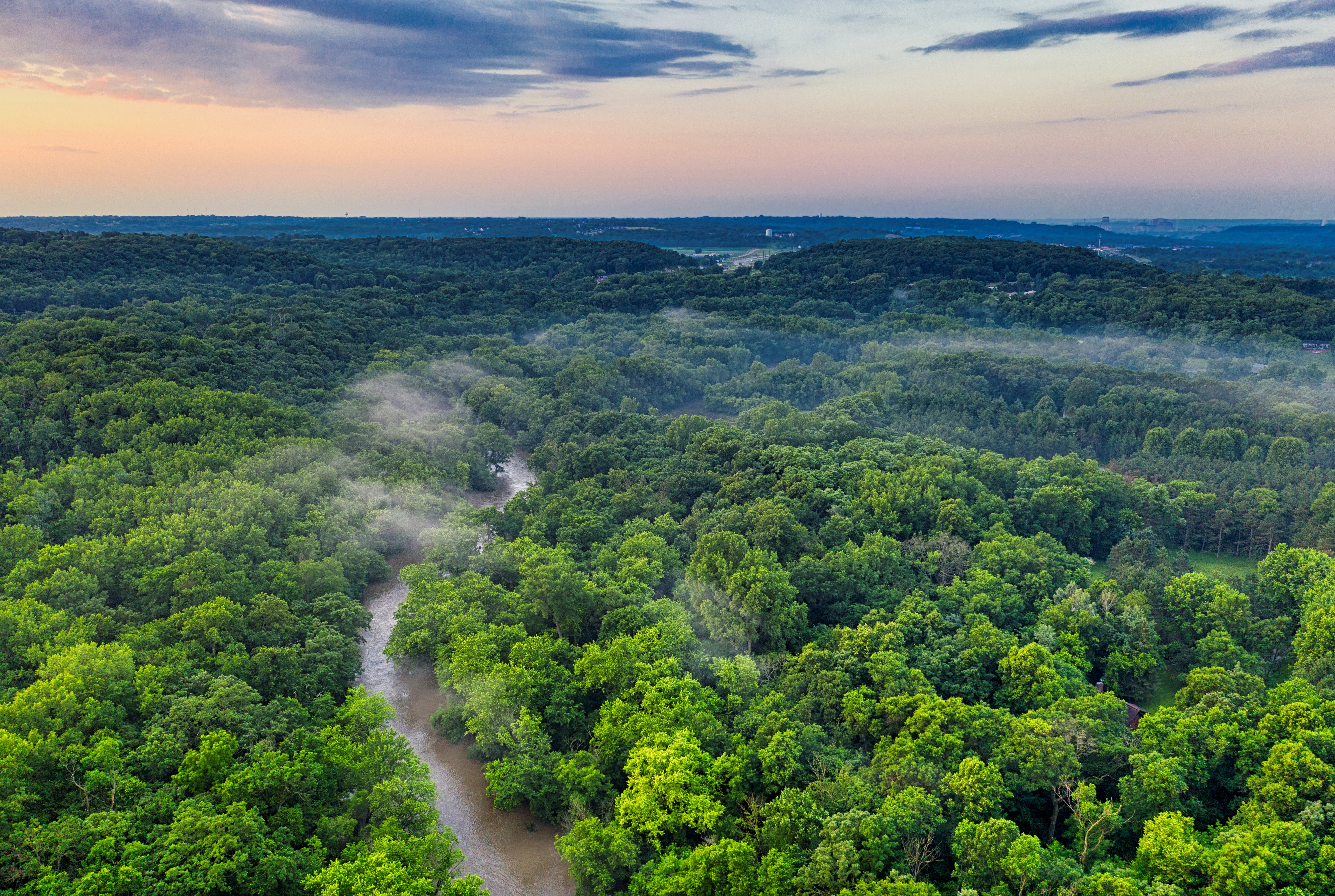 Rainforest Trust Update: For People, Species and Planet: A Powerful Pa ...